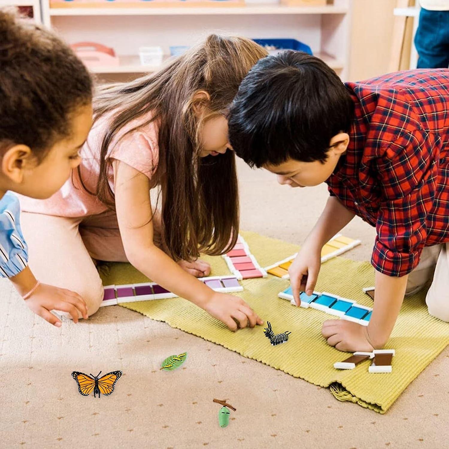 Wooden Tray Insects Life Cycle Kit for Kids Teaching Tools with Stages ...