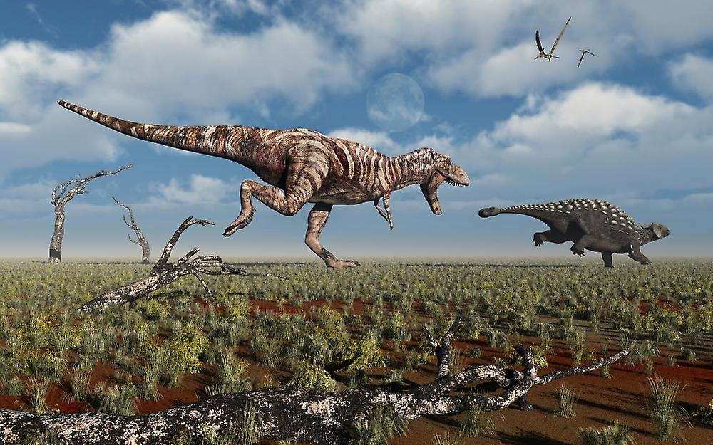 A Tyrannosaurus Rex giving chase to an Ankylosaurus. Poster | Fruugo DE