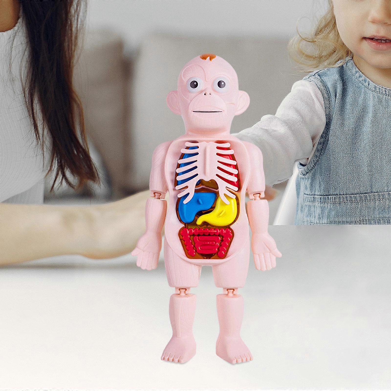 Human Body Puzzle Teaching Tool DIY Toy Early Learning Toy Body Parts ...