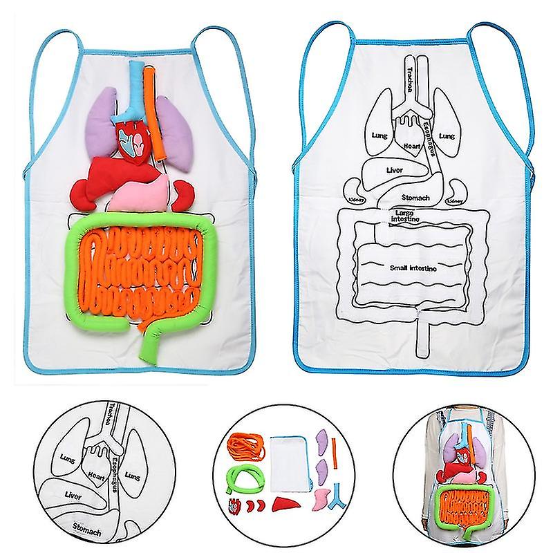 Anatomy Apron Human Body Organ Educational Tool Children Preschool ...