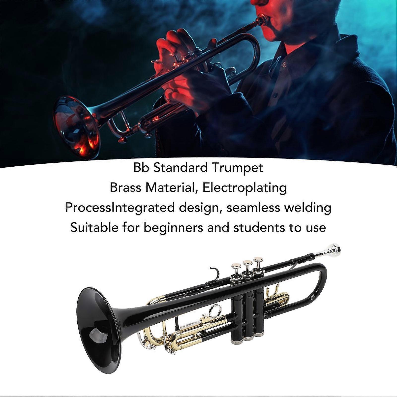 Bb Standard Trumpet Kit Double Bar Support Trumpet for Beginner ...