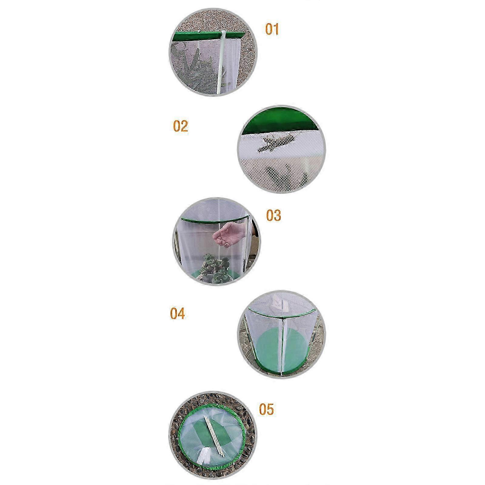 Transparent Butterfly Habitat Cage - Portable Insect Observation Mesh ...