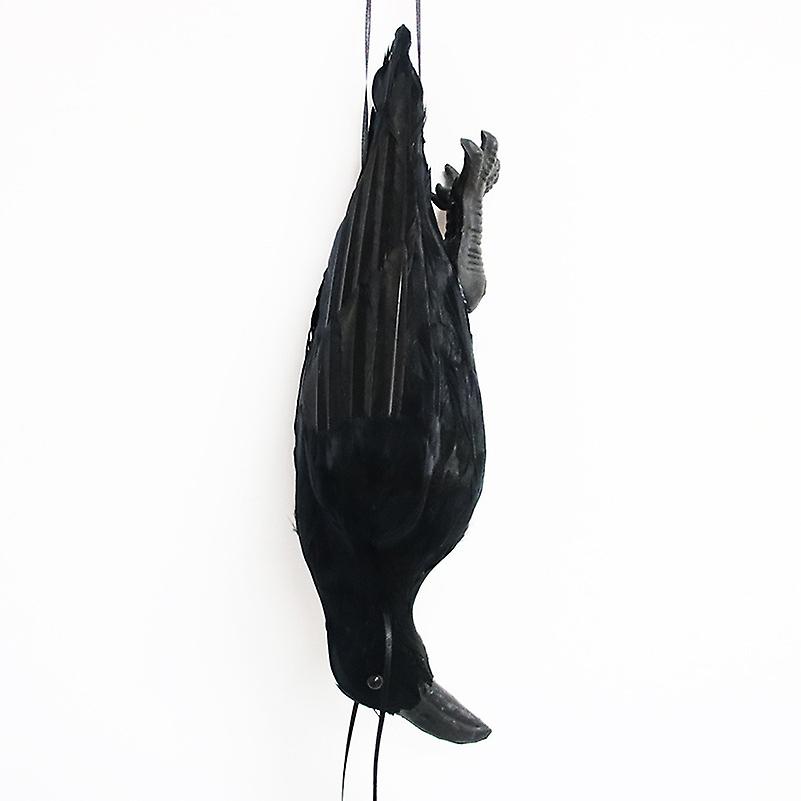 Simulation Hanging Dead Crow Decoy Halloween Props Outdoor Scarecrow ...