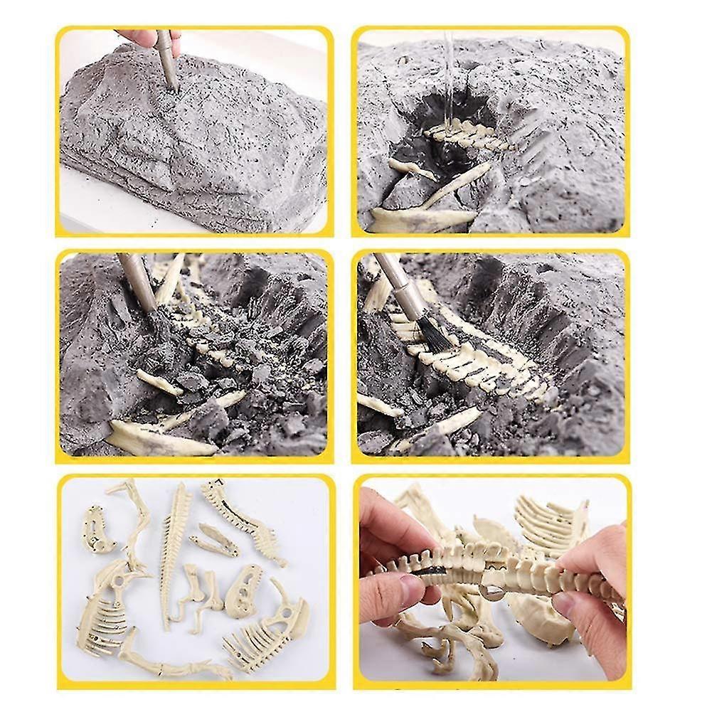 Fossils And Dinosaur Bones Dig Kit For Kidsdig Up Dinosaurs Skeleton ...