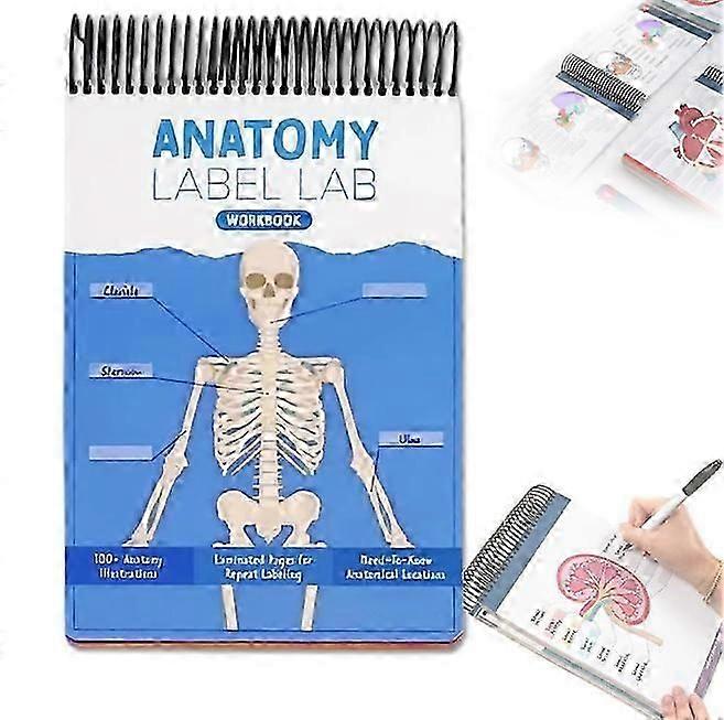 Anatomy Label Lab Workbook,anatomy Terms Workbook,human Anatomy ...
