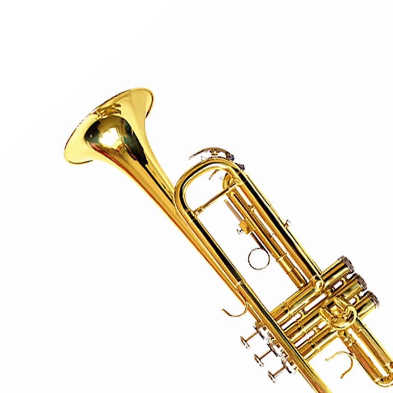 Bb Trumpet with Warm Bright Sound and Durable Valve System for ...