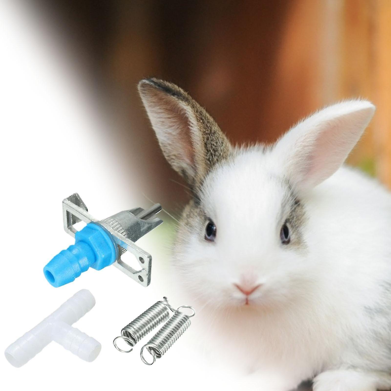 5 Sets Drinking Water Mouth Automatic Double Springs Pet Supplies Bunny ...
