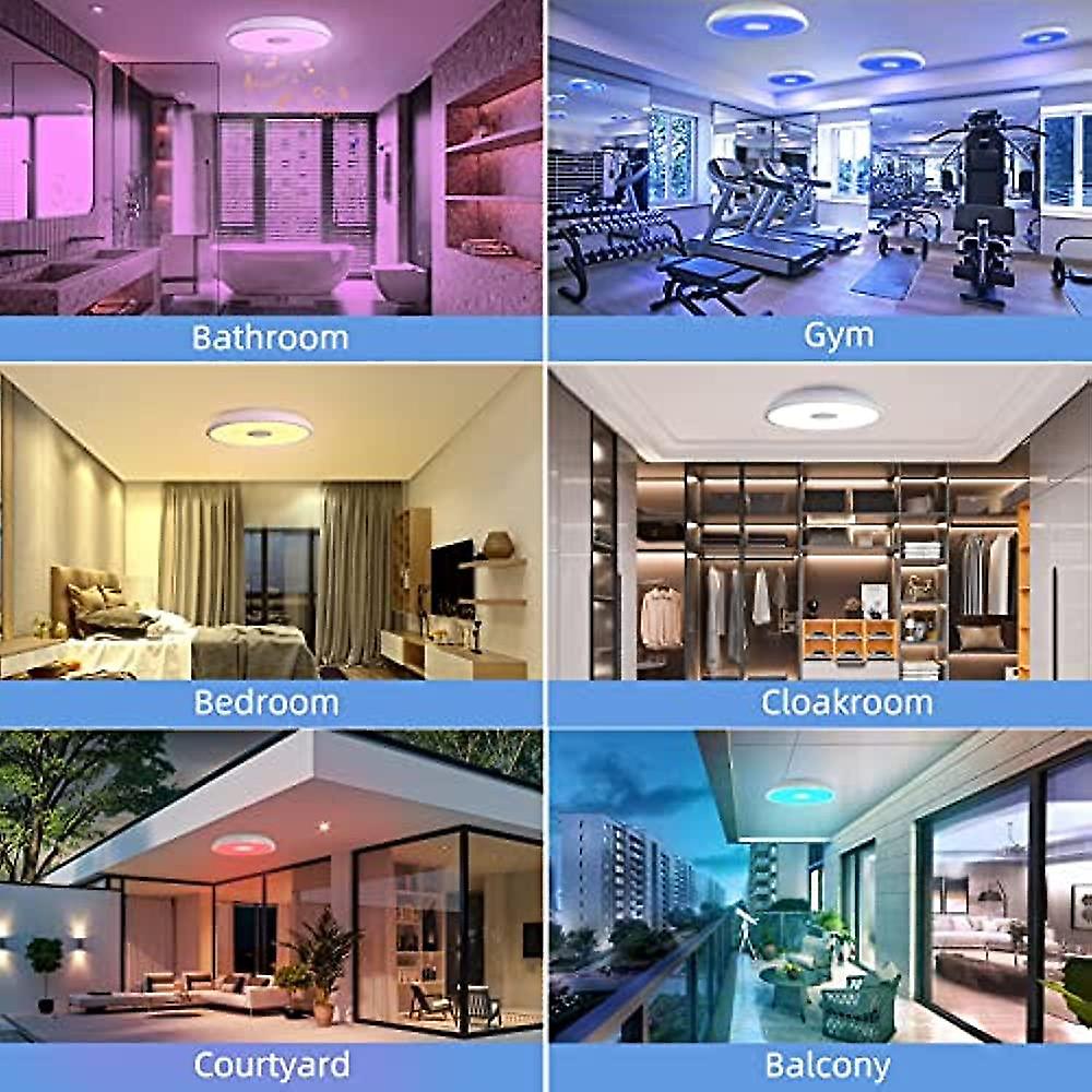 Smart Waterproof Ceiling Light LED Music Ceiling Lamp,with Bluetooth ...