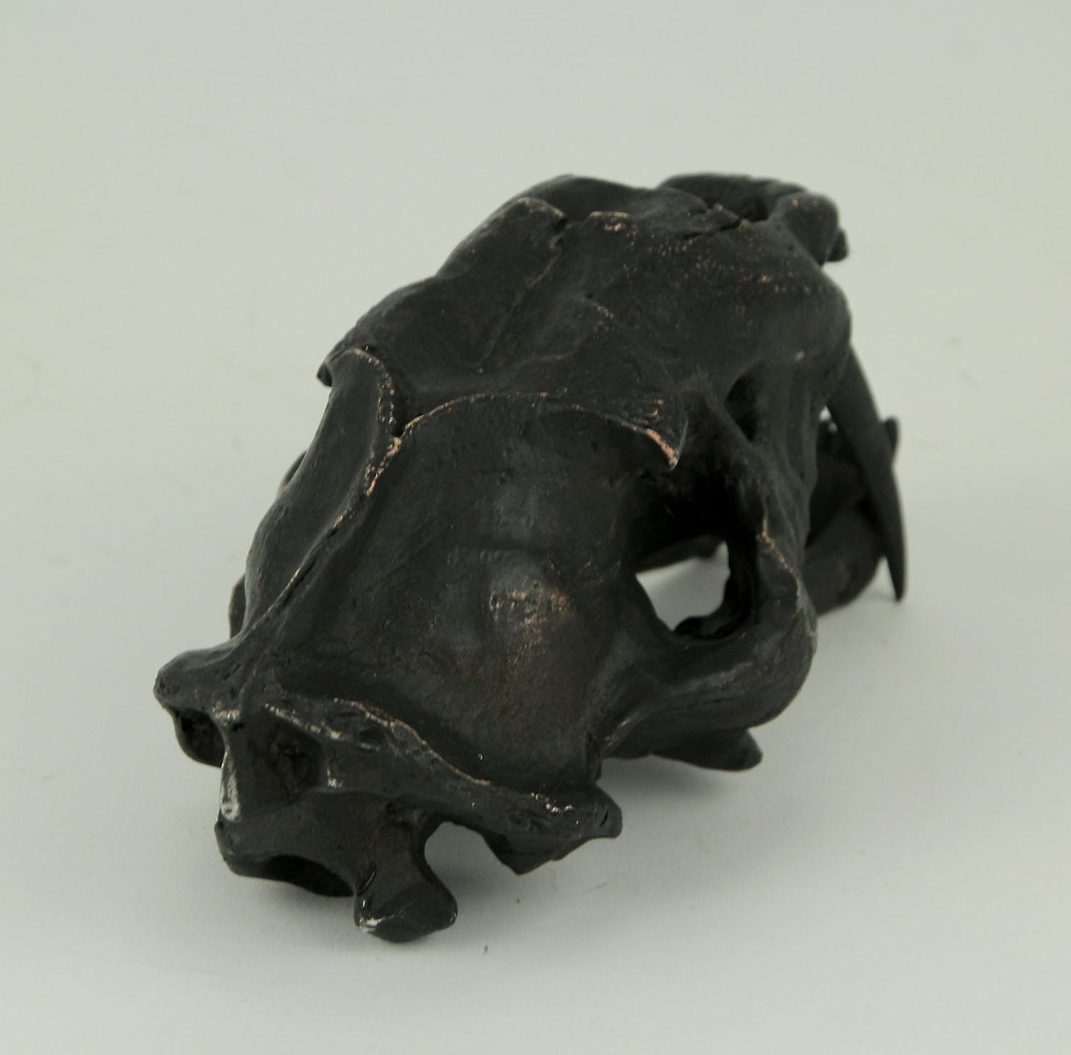 Black Saber Toothed Cat Skull Statue Smilodon | Fruugo IE
