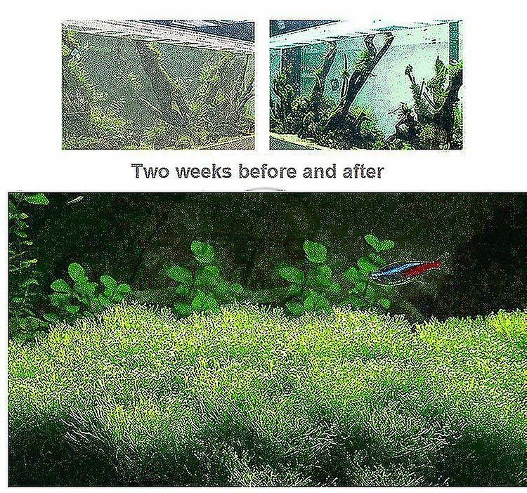 Sunsun Aquarium Accessory Replacement Material Activated Carbon Cotton ...