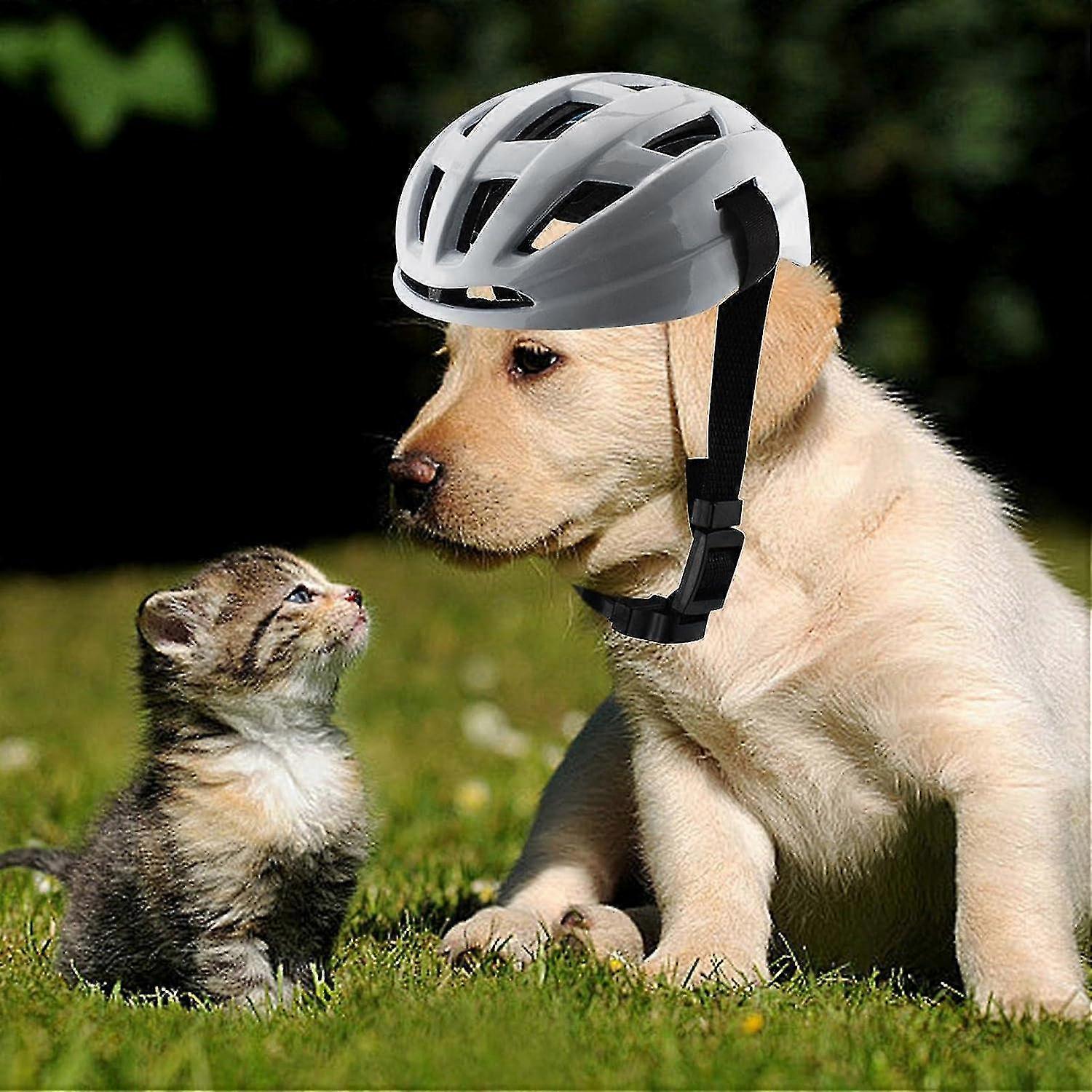 Dog Helmets For Small Medium Dogs, Ventilated Dog Motorcycle Helmet ...