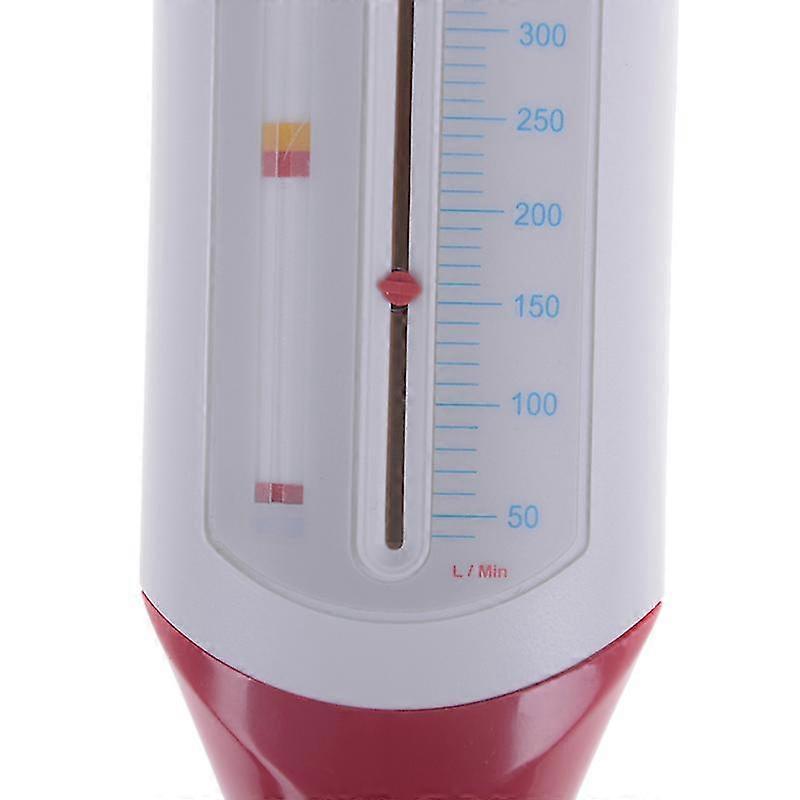 Lung Capacity Monitoring Device with Peak Speed and Expiratory Flow ...