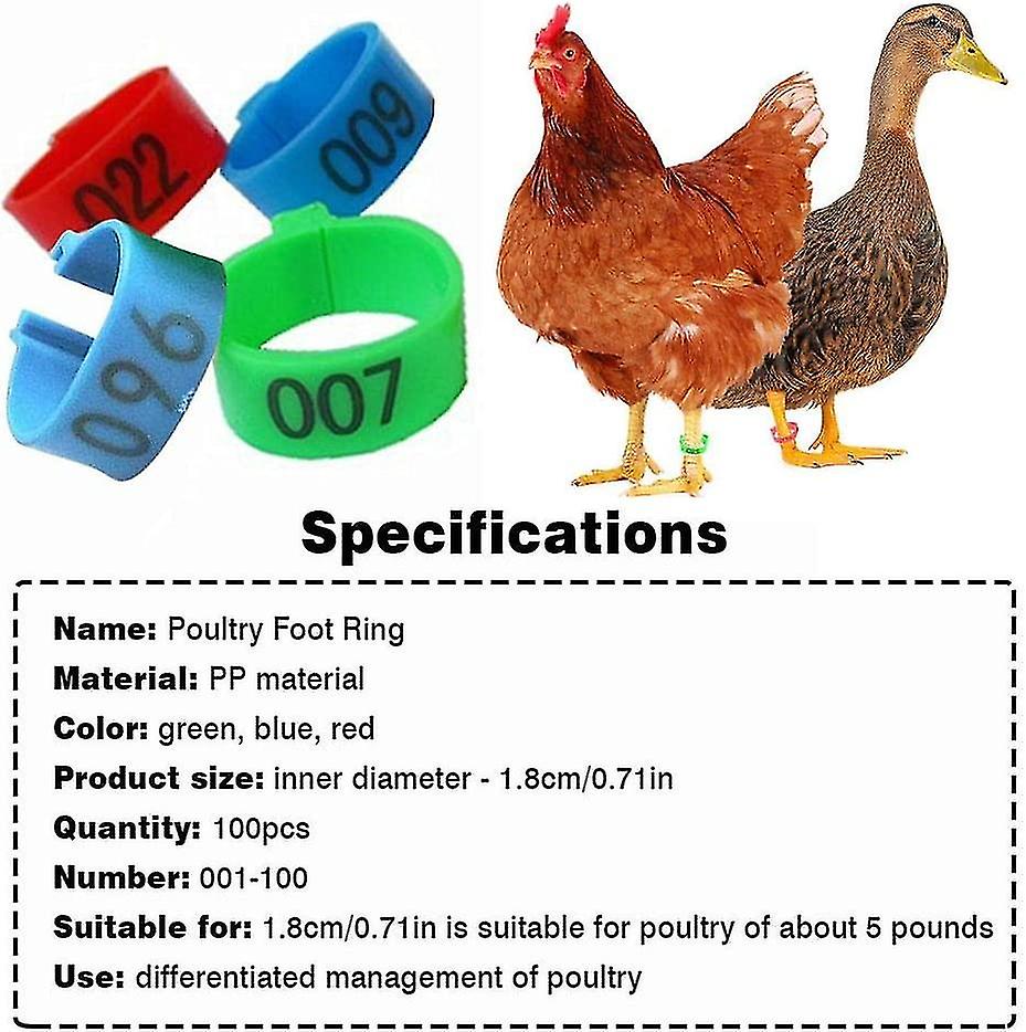 Poultry Band Leg Rings For Chicken, Hen, Duck, Foot Rings, Leg Bands ...