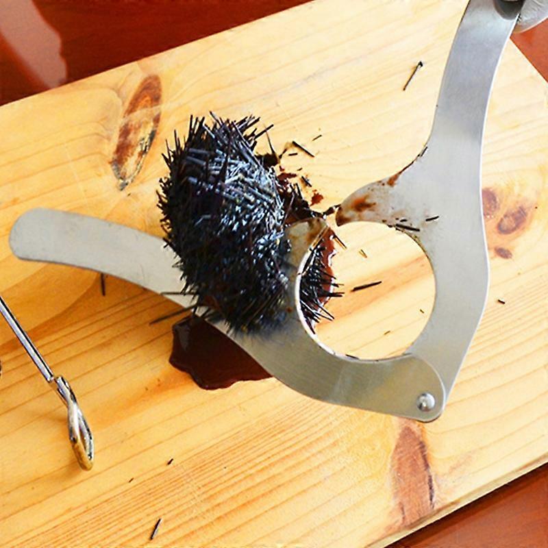 Sea Urchin Opener Scissors Echinus Tongs Chestnut Open Cutter ...