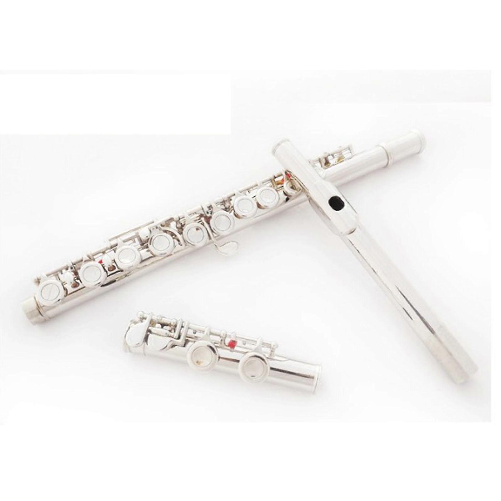 Flute Instrument Lightweight Portable Sturdy Closed Hole Flute for Kids ...