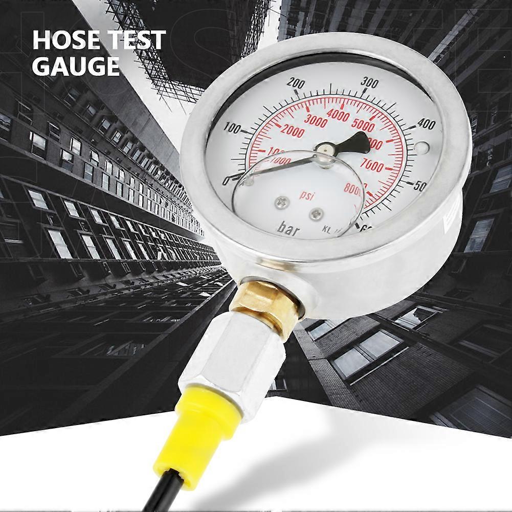 Hydraulic Hose Test Point Coupling M16*2-BSP1/4 + 0~600BAr 8500PSI ...