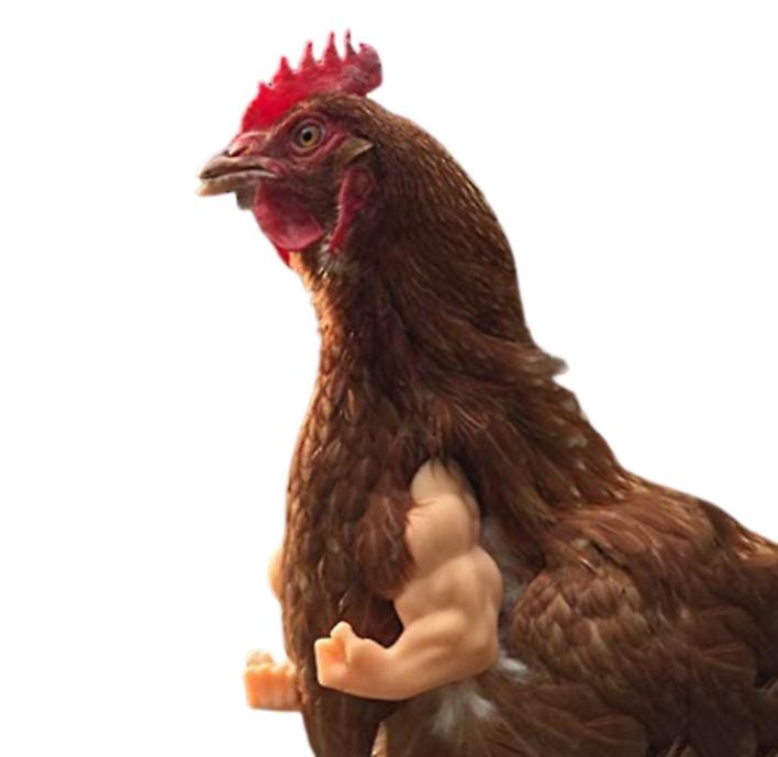 Muscle Chicken Arms Toys for Chickens to Wear | Fruugo UK