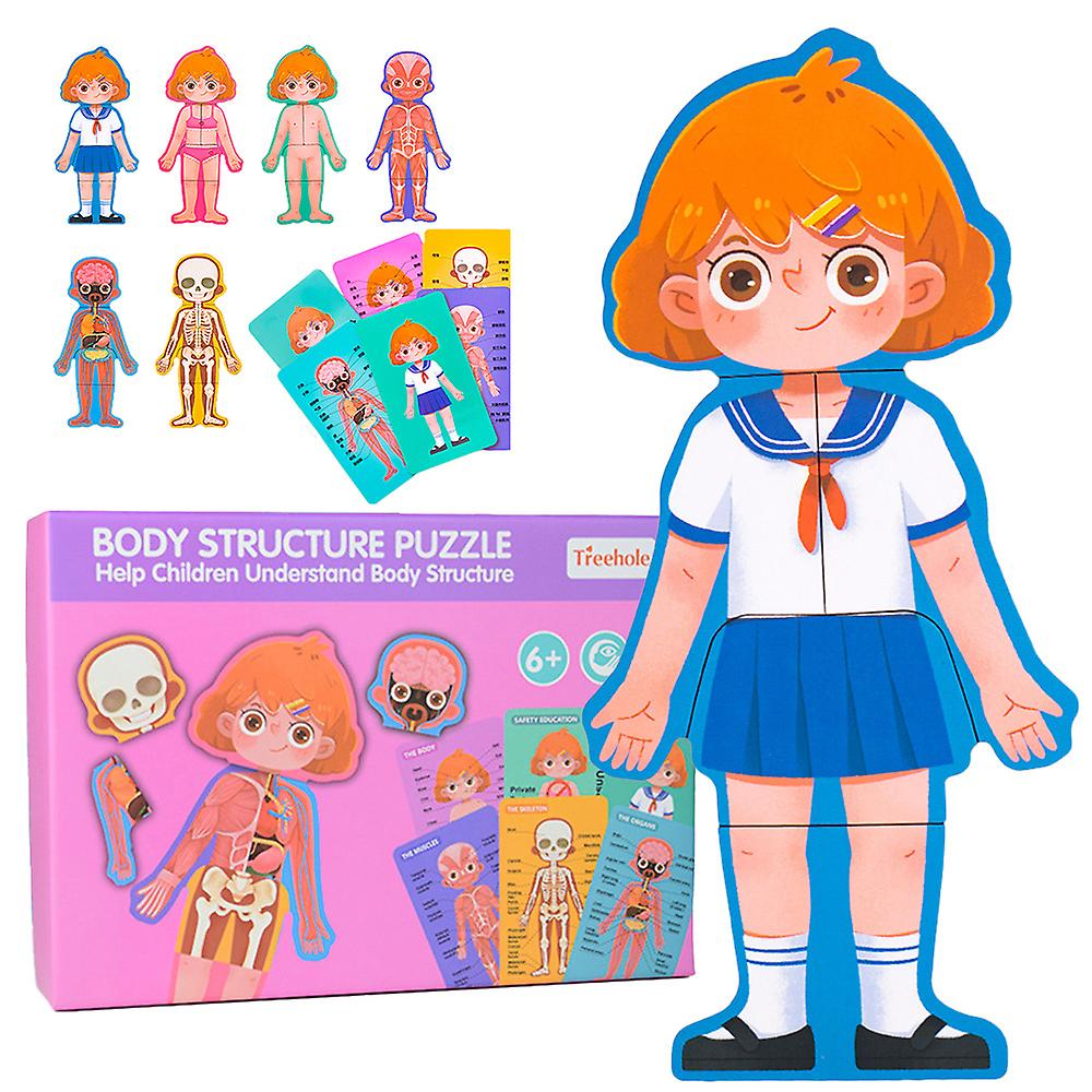Skeleton For Kids Human Body Puzzles For Kids 3-5,Wooden Montessori ...