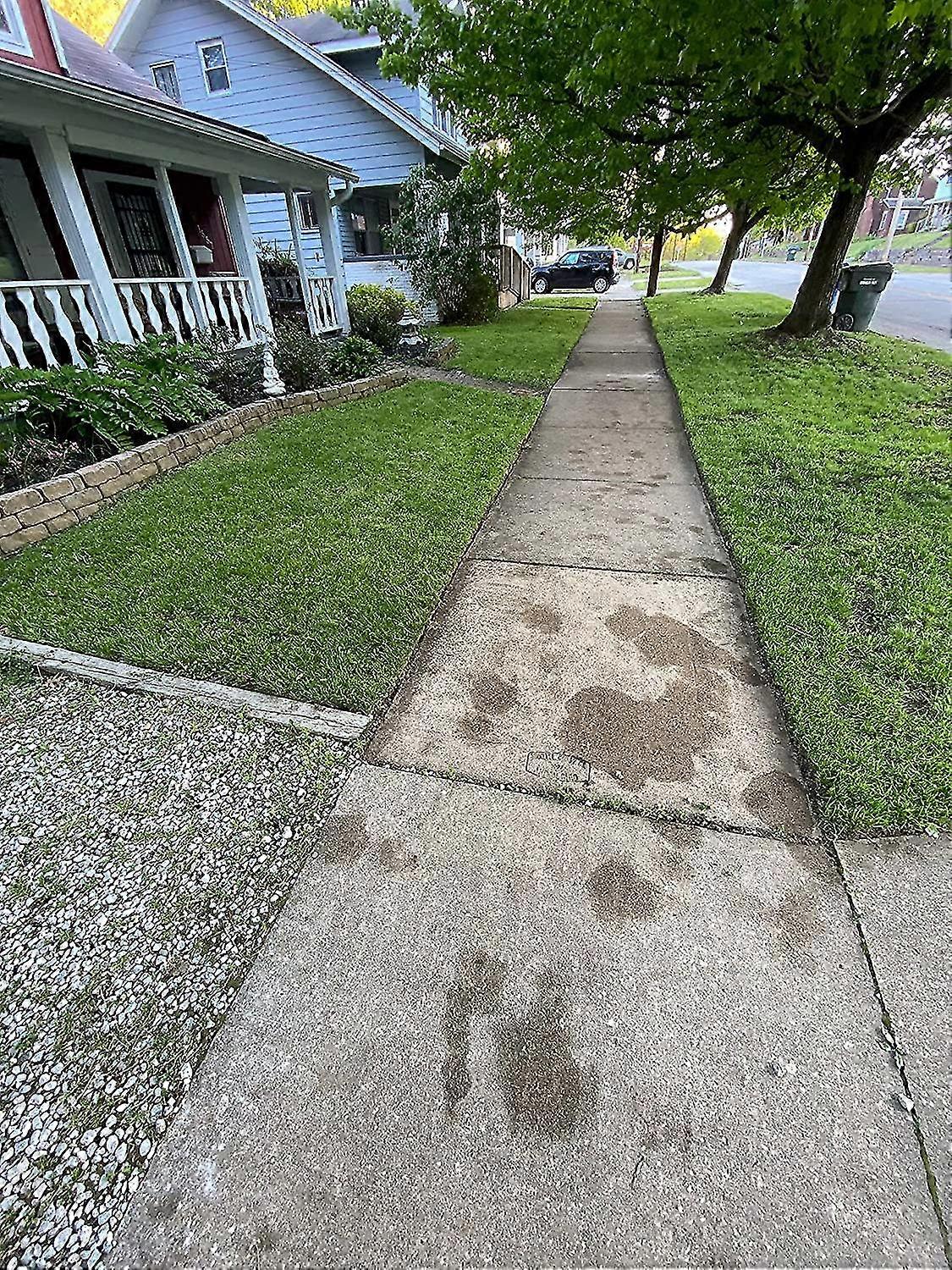 38 Inch Manual Lawn Edger, Half Moon Grass Edger With T-style Long ...