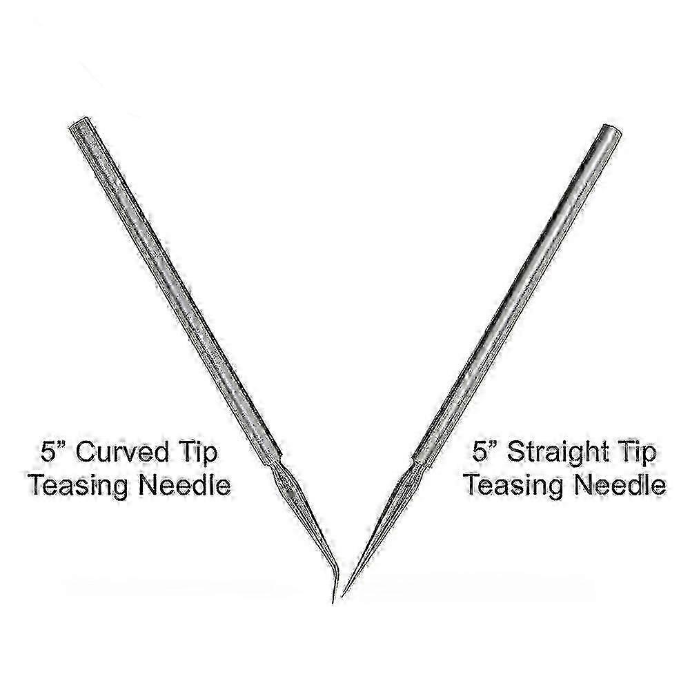 22pcs Advanced Dissection Kit Biology Lab Anatomy Dissecting Set With ...