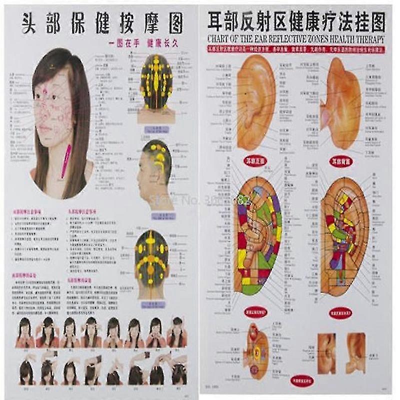 7pcs/set Acupuncture Massage Point Map Chinese&English Meridian ...