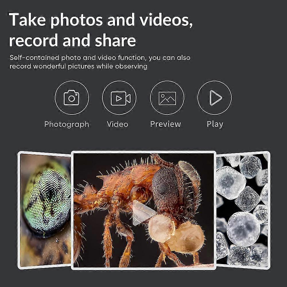 2 Megapixel Portable Handheld Digital Microscope 12-24x Magnification ...