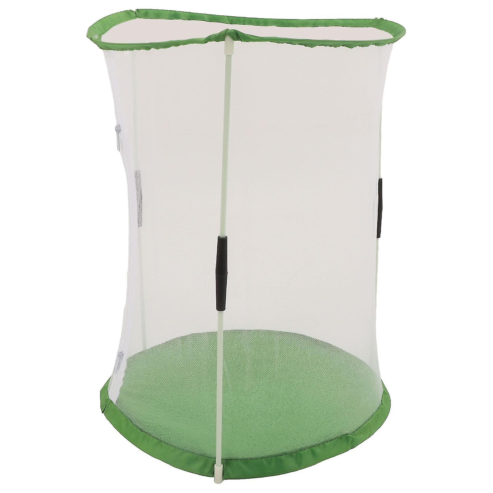 Cylindrical Insect Observation Cage with Transparent Mesh for Butterfly ...