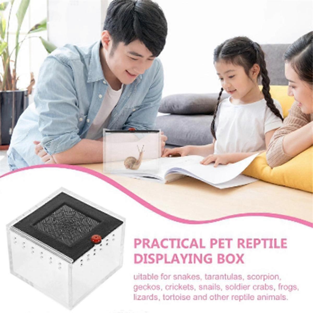 Spider Enclosure Small Insect Breeding Box Prevent Escape Reptile ...