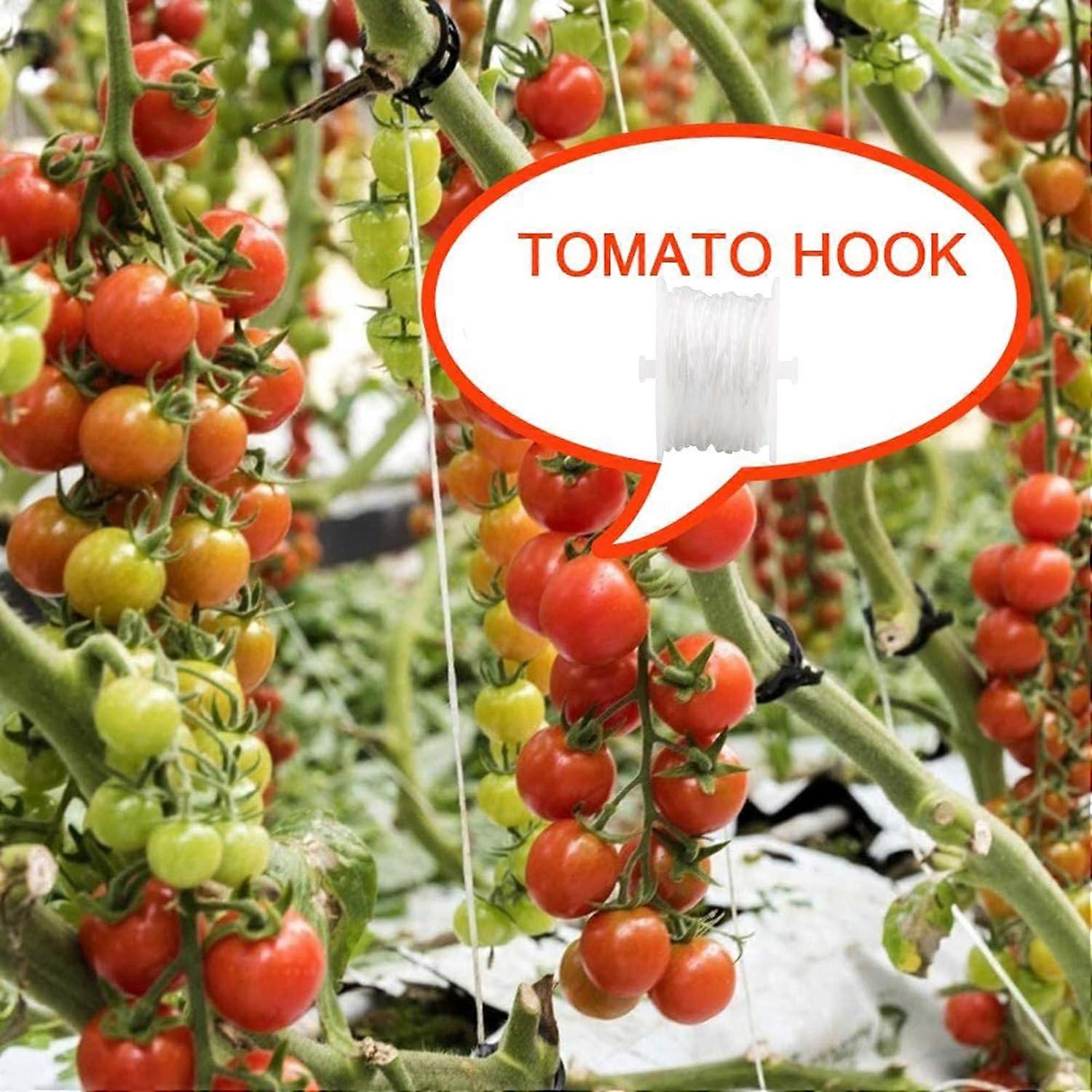20 Pack Tomato Support Hooks with 50ft Twine, Greenhouse Trellis Kit ...