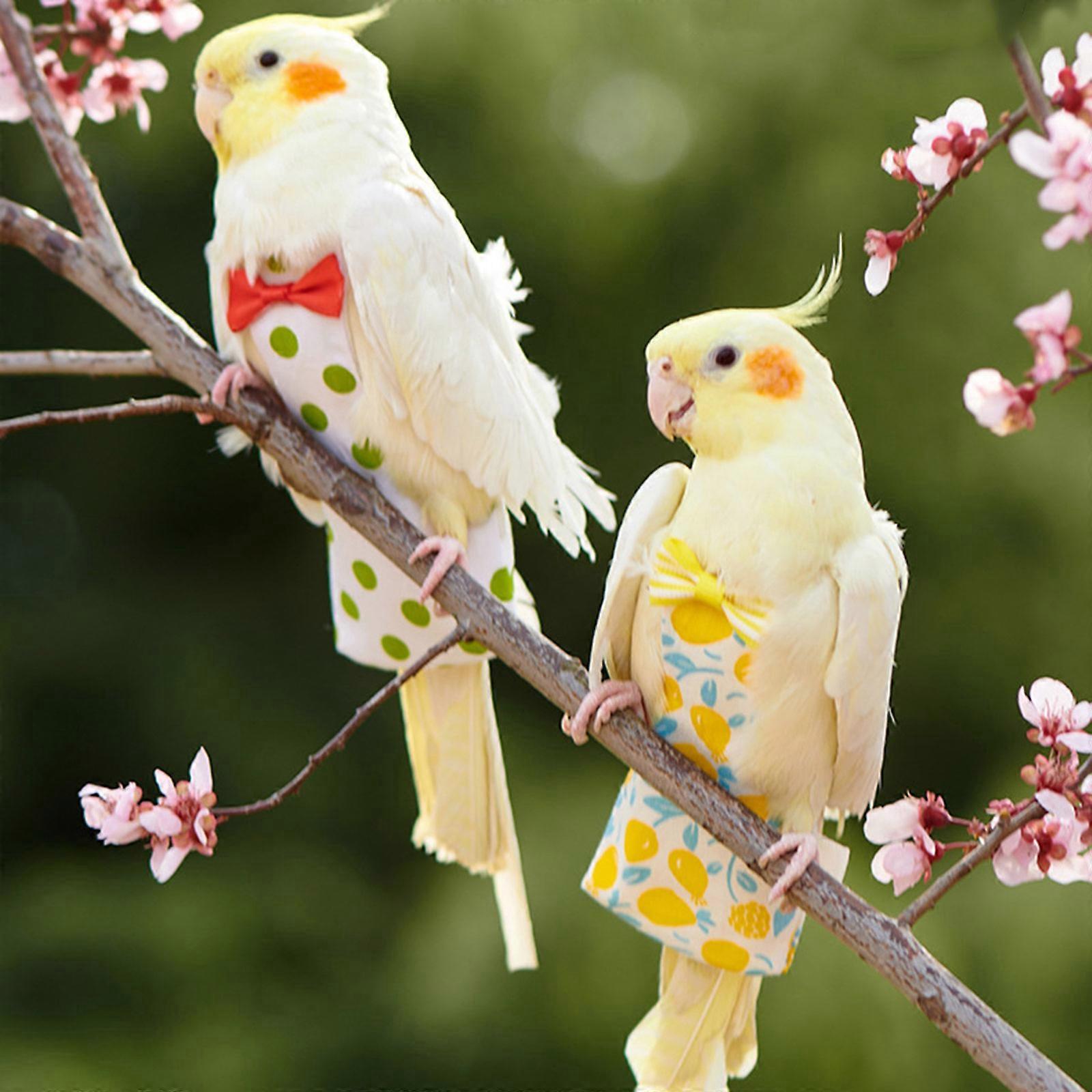 Parrot Diaper Small Medium Bird Costume Nappy Clothes Flight Suit ...