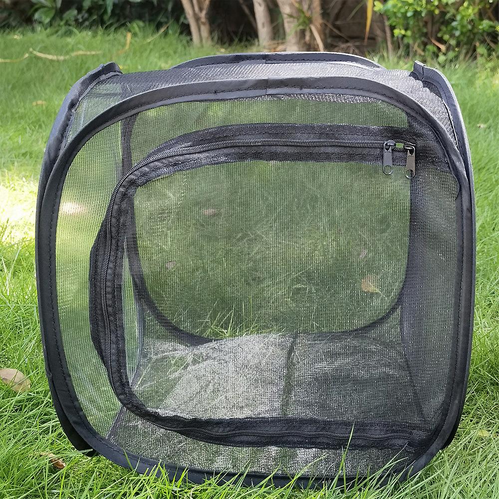 40x40x60 Cage d'habitat d'insectes, Cage d'insectes Cage Insecte Maison ...