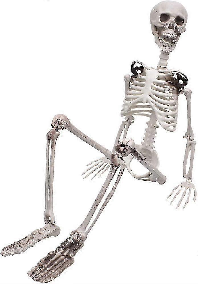 Halloween skeleton full body life like skeleton model with movable ...