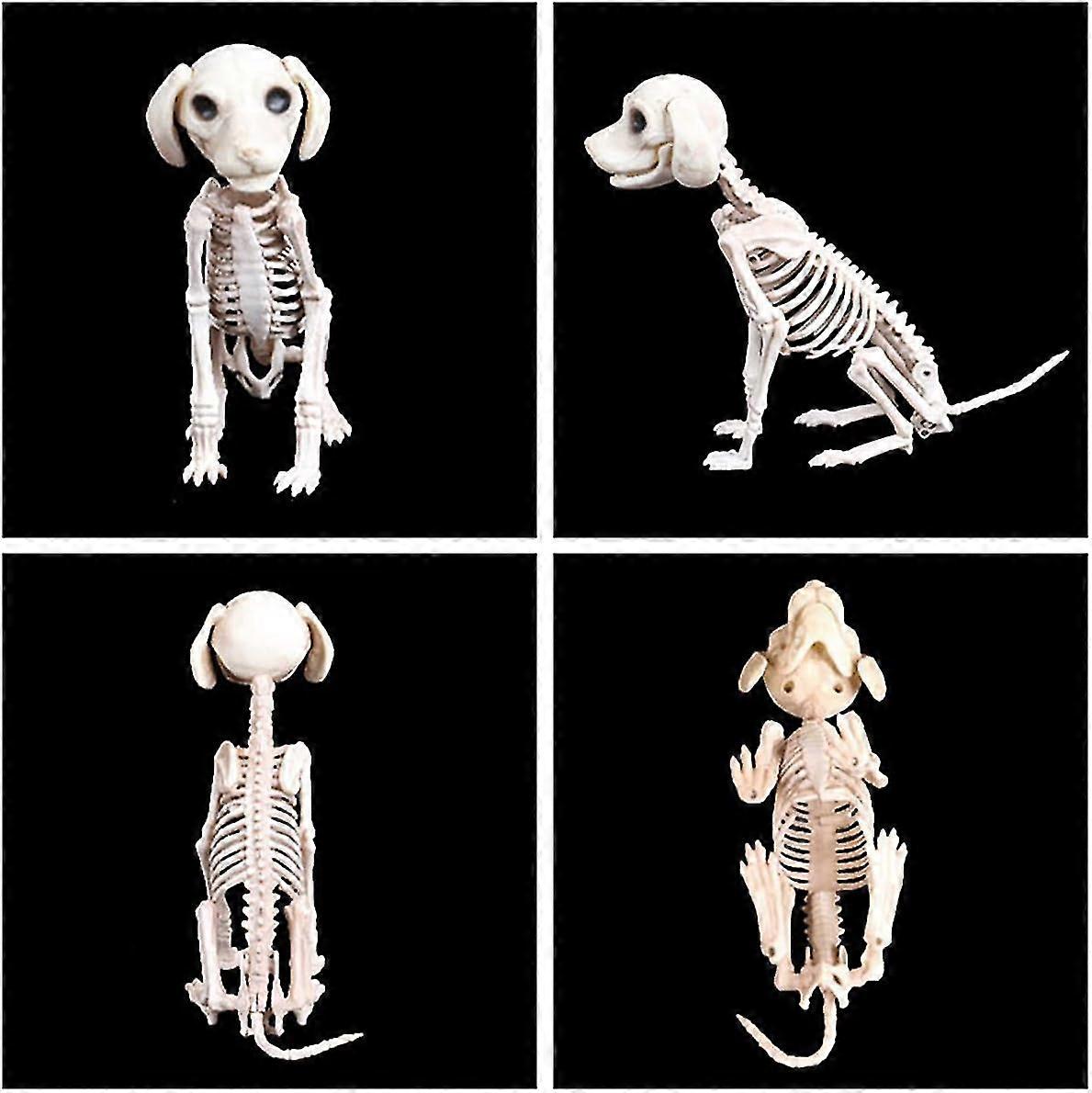 Halloween Decoration, Halloween Skeleton Puppy, Mini Poodle Dog ...