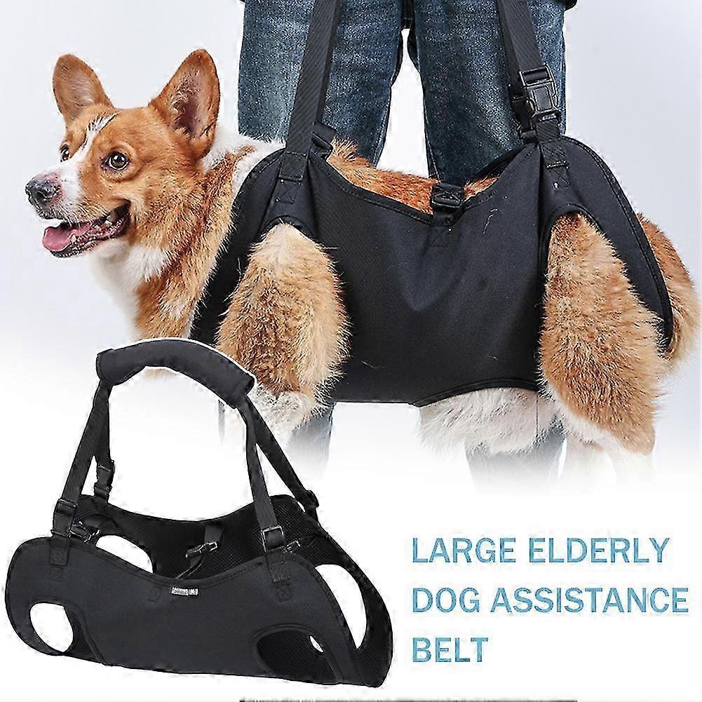 Ergonomic Dog Support Harness for Comfortable Lifting of Injured Senior ...
