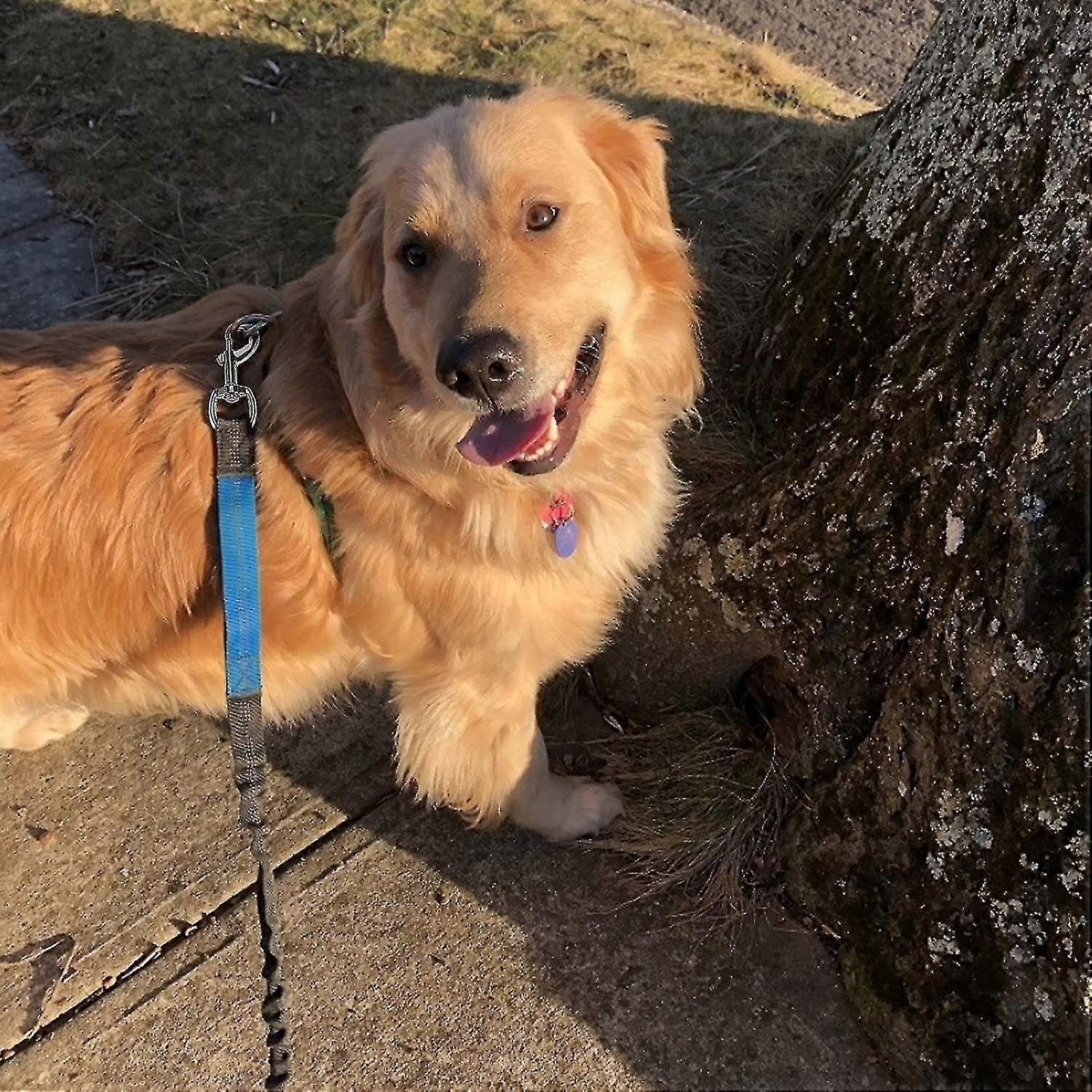 Swivel Eye Bolt Snap Hook Dog Lead Clips Dog Lead Clasp Flag Clips Flag ...