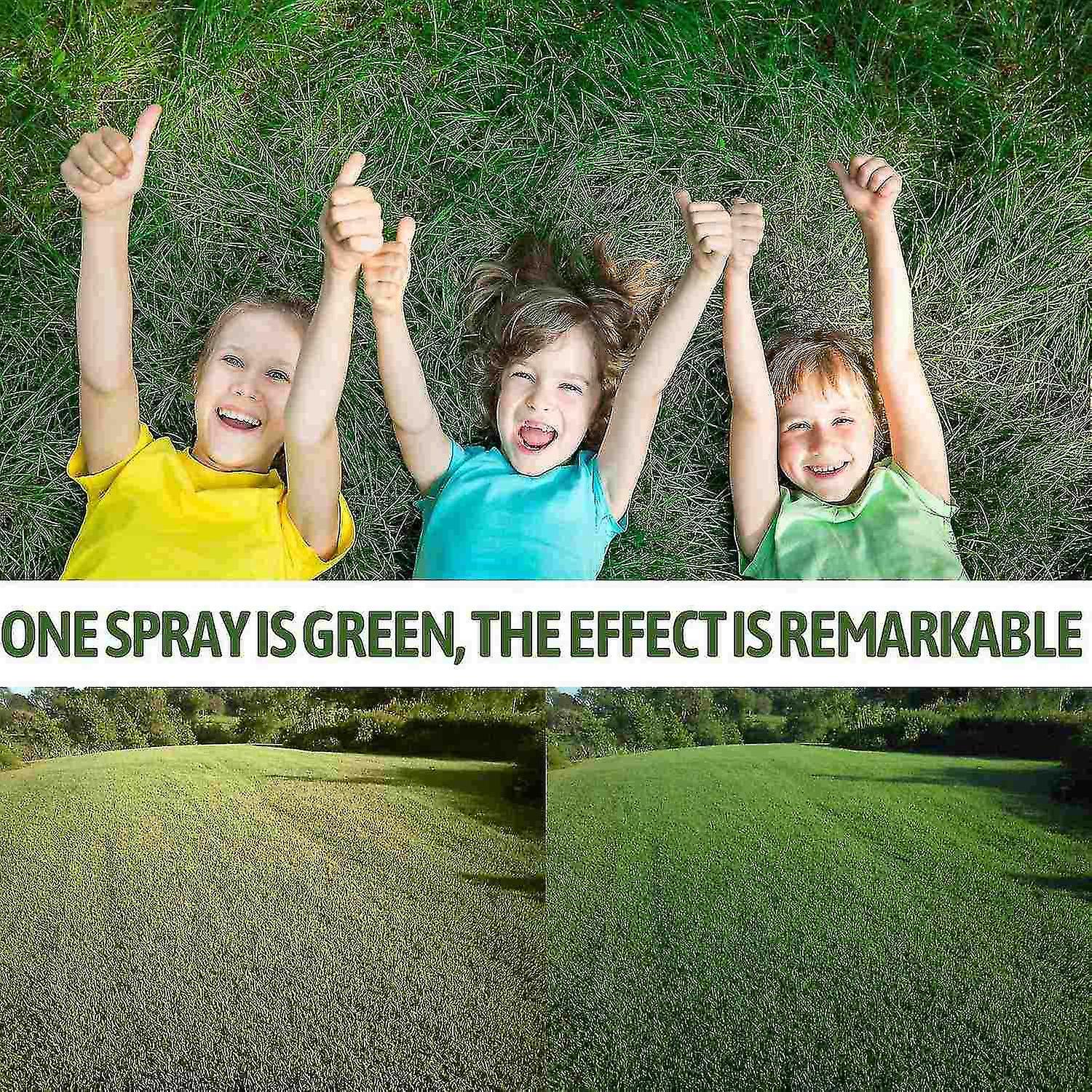 Green Grass Spray Paint Durable Lawn Paint Enhances Patches Of Grass ...