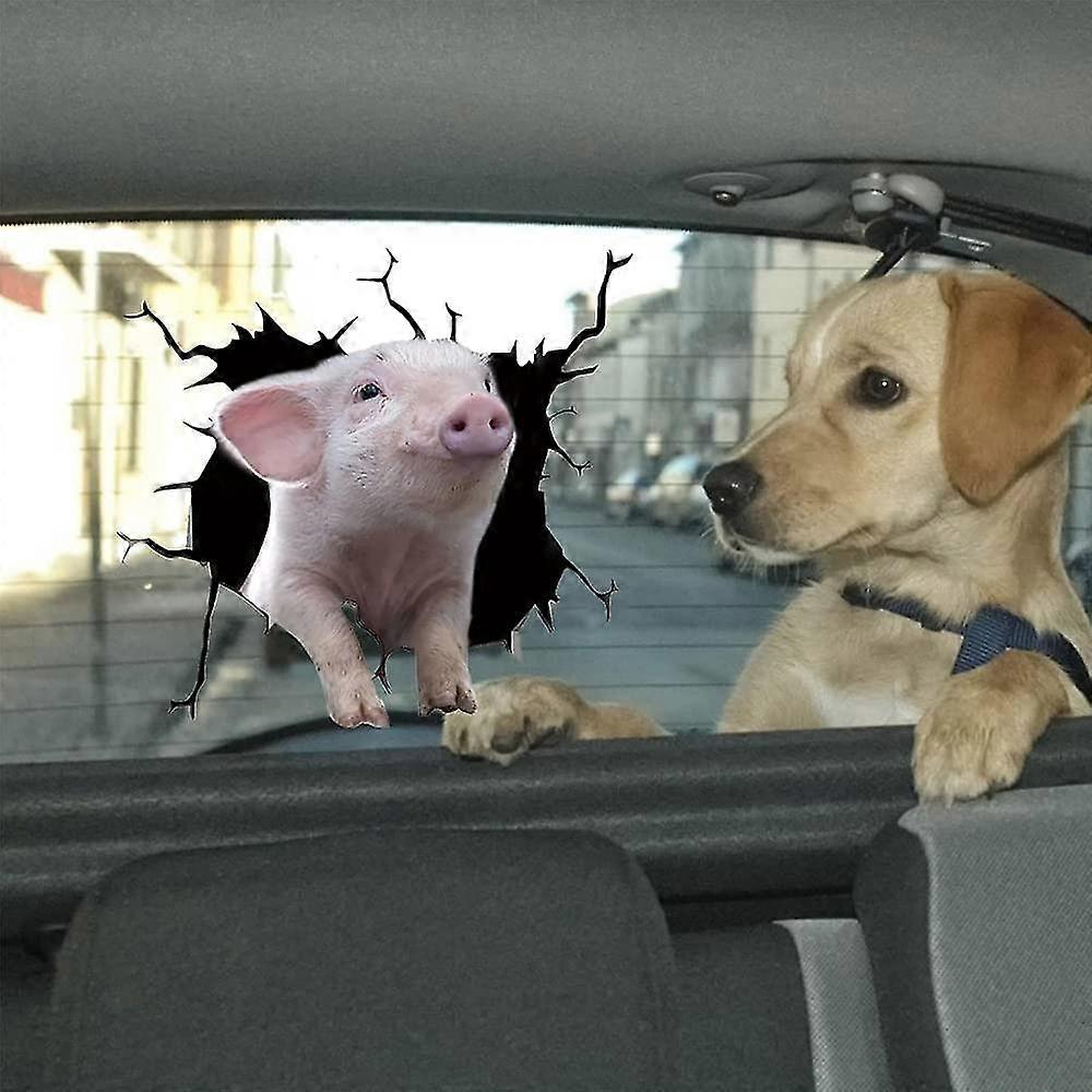 Funny Animal Car Sticker Pig Crack | Fruugo UK