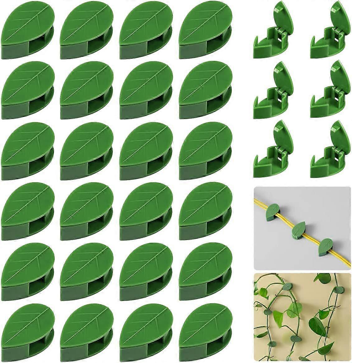 Plant Clips for Climbing Plants, Self-Adhesive Plant Climbing Fixture ...