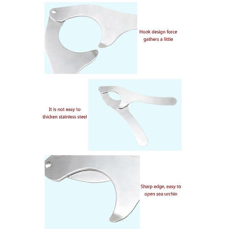 Sea Urchin Opener Scissors Echinus Tongs Chestnut Open Cutter ...