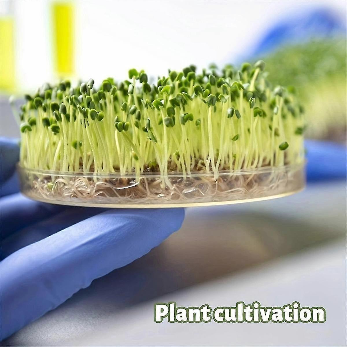 Dish Science Project Kit, Sterile Dish, Dish Cell Observation ...