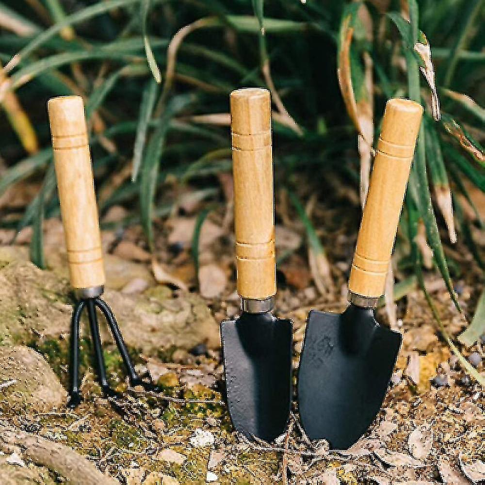 Bulb planting tools 10pcs succulent plant tools set mini garden plant ...