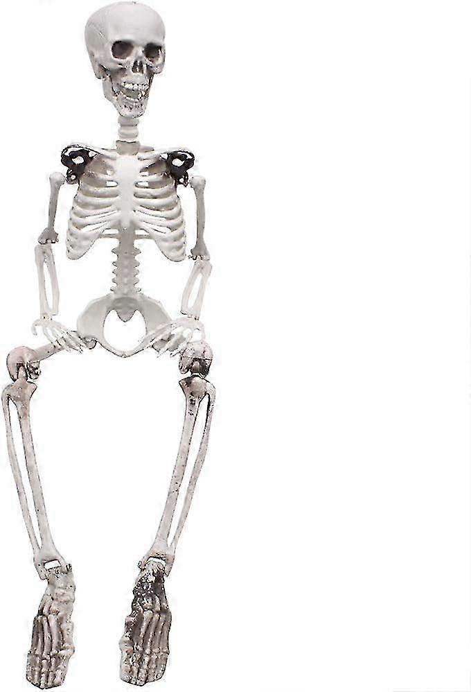 Halloween skeleton full body life like skeleton model with movable ...