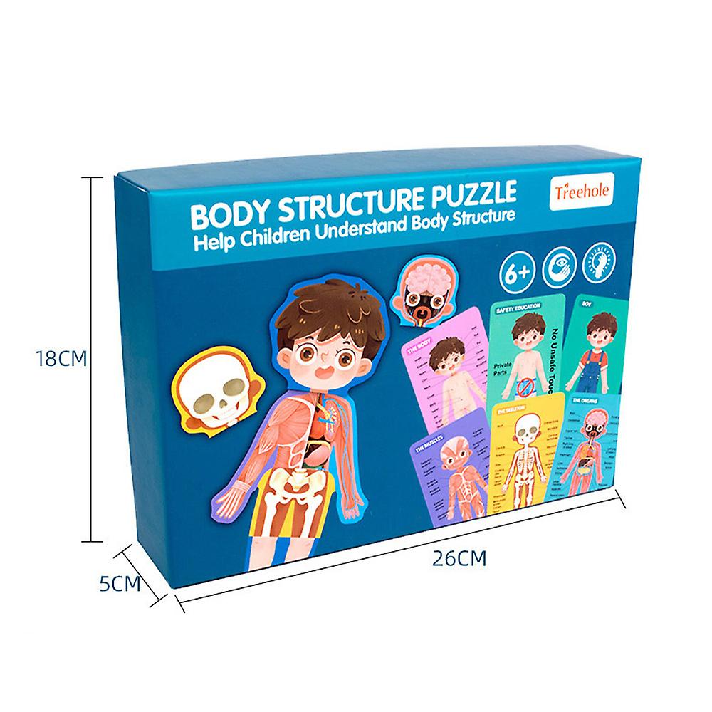 Human Body Puzzle For Kids Magnetic Boy Girl Anatomy Play Set Body ...