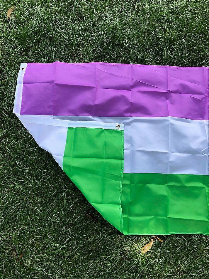 Rainbow flag 90x150cm LGBTQIA genderqueer Flag hanging polyester hanging banner for home ...