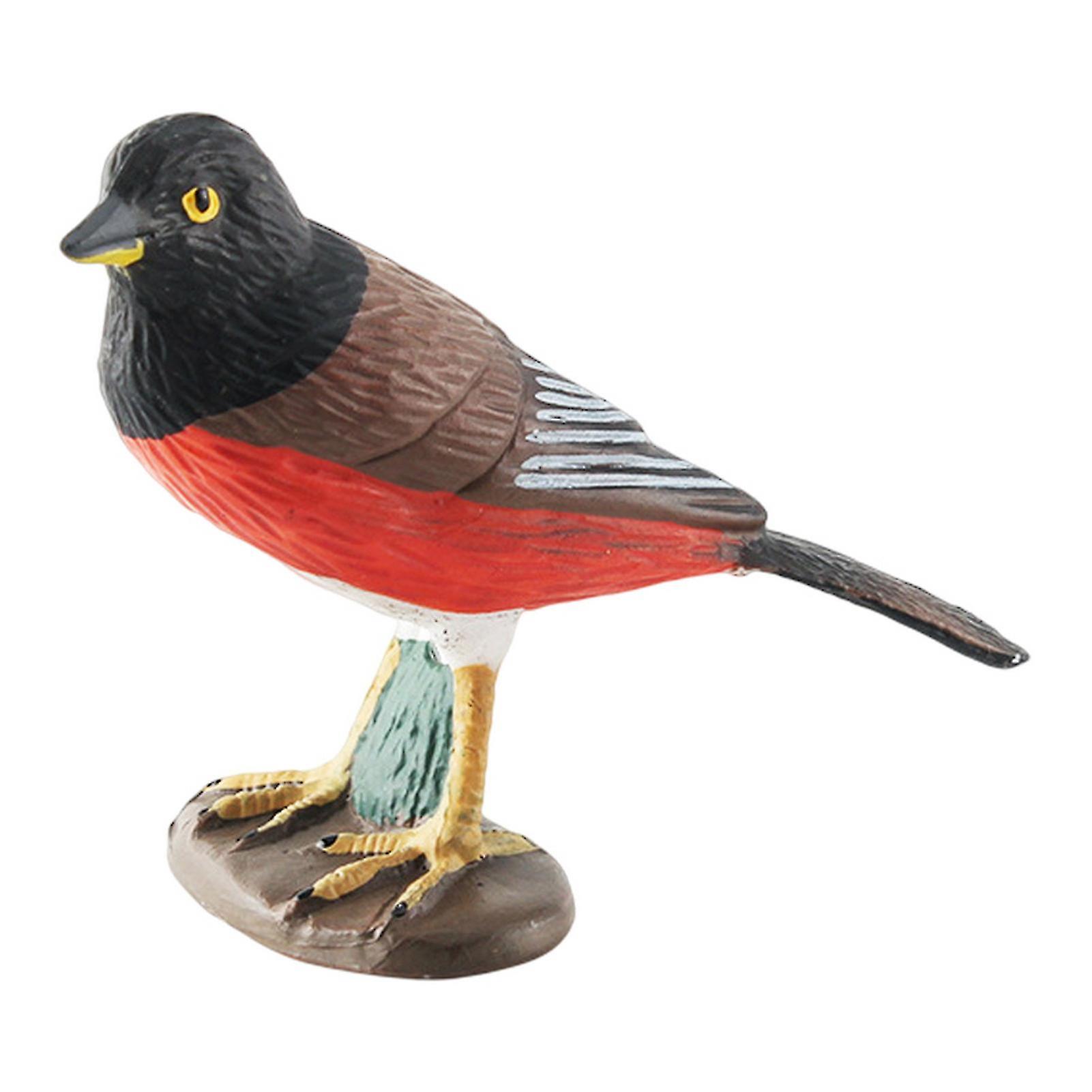 Feather Animal Model Simulated Magpie Pigeon Cuckoo Blue Wren Rusty ...