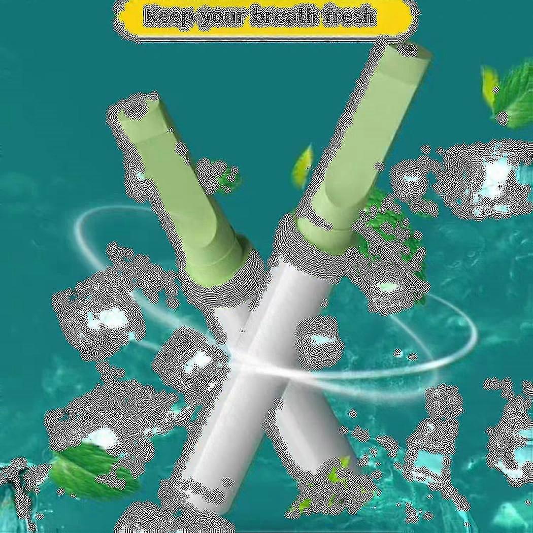 6Pcs Quit Smoking Inhaler,Smokeless, Natural Substitution, No Nicotine ...