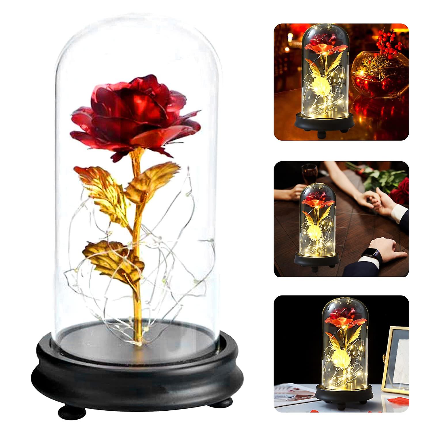 Eternal Rose, Enchanted Rose, Romantic Eternal Rose From Beauty And The ...