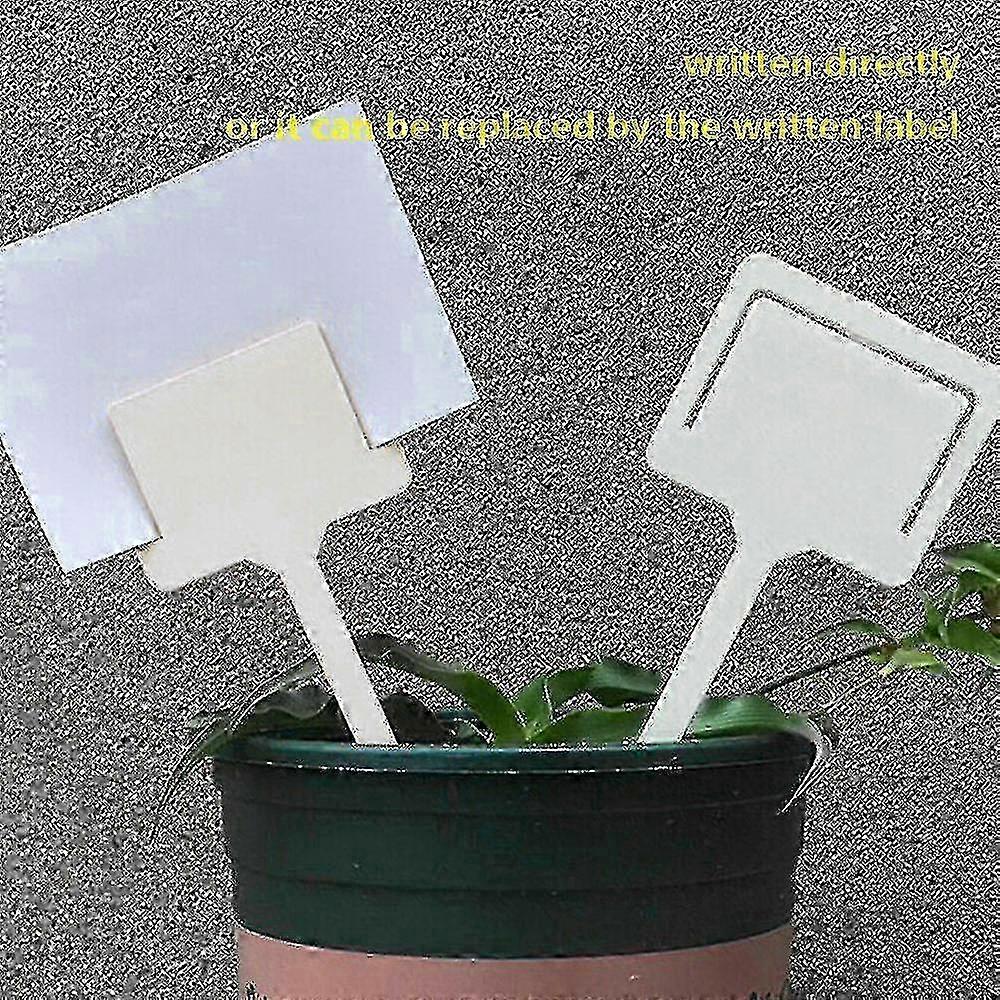 5 X Golf Club Markers Nearest Pin Mark Longest Driver Marker Plant Tags ...