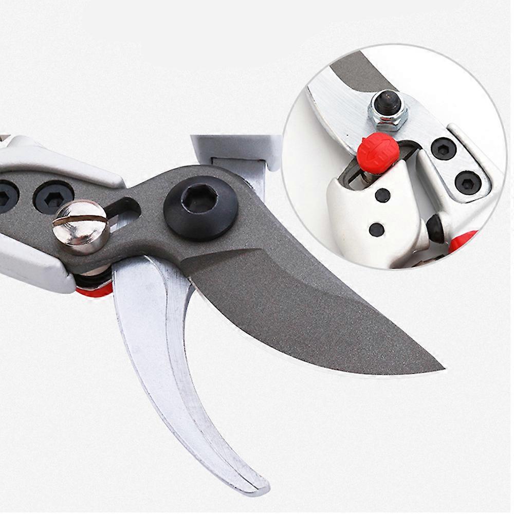 Premium Tree Trimmer with Razor-Sharp Blades and Ergonomic Design for ...