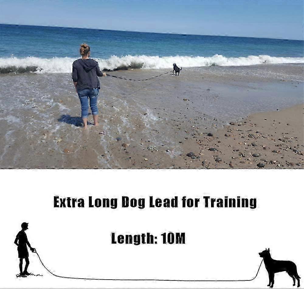 Dog Training Lead 10m Long Dog Lead Extra Long Line Dog Lead 10m Long ...